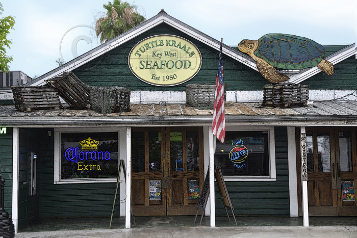 Turtle Crawls-CP | Key West / Florida Keys Money Saving Discount Coupons